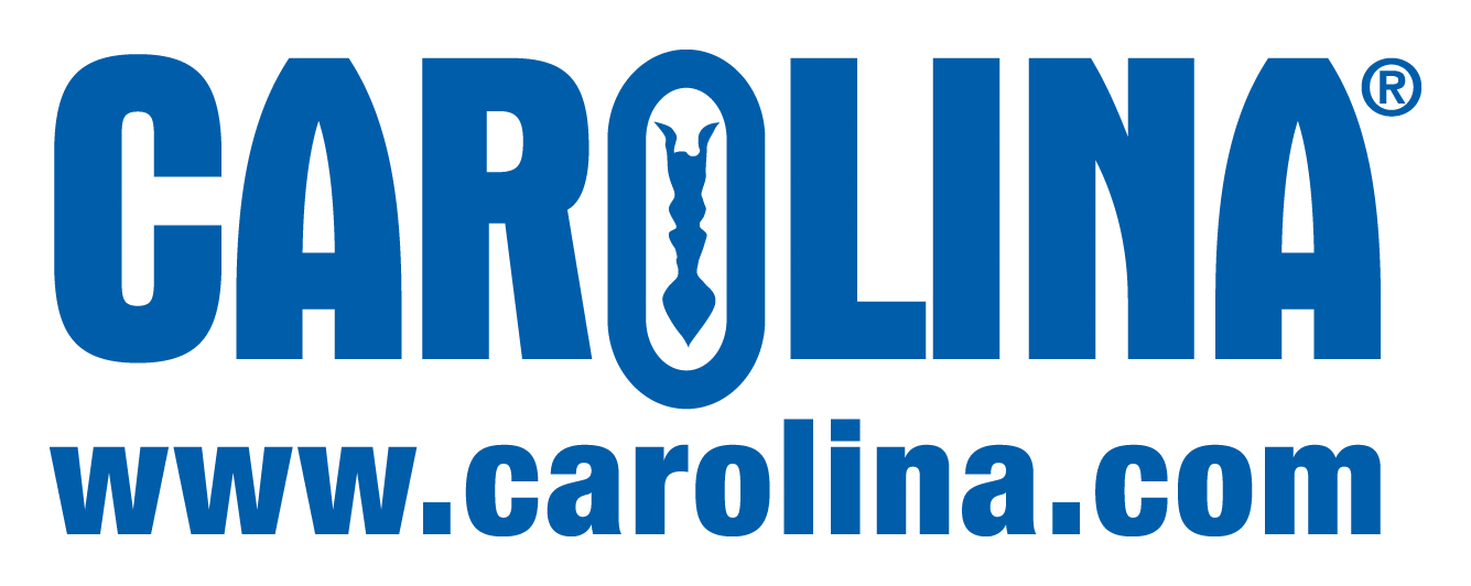 Carolina Video Experience